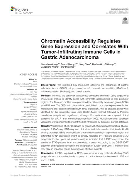 Pdf Chromatin Accessibility Regulates Gene Expression And Correlates With Tumor Infiltrating