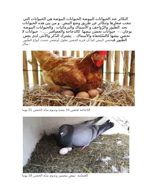 التكاثر عند الحيوانات البيوضة Pdf