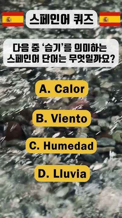오늘 스페인어 퀴즈 시리즈 스페인어기초 스페인어회화 스페인어독학 스페인어노래 스페인어배우기 스페인어숫자 스페인어