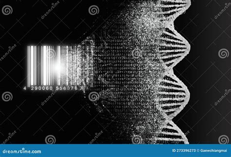 Dna Decode Biological Genetic Decoding Concept Genom Map Stock