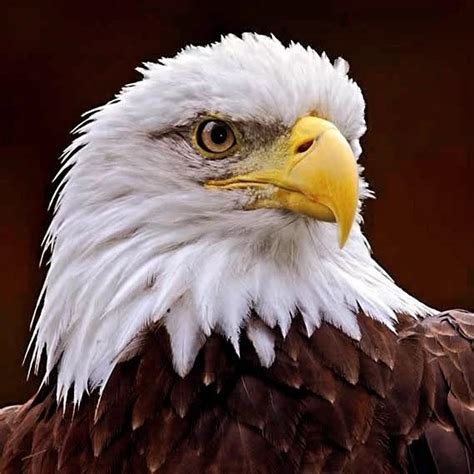 Darrell Taylor Darrelltaylor776 On Threads