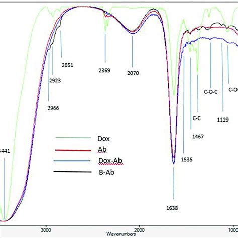 The Attenuated Total Reflection Fourier Transform Infrared Spectroscopy Download Scientific