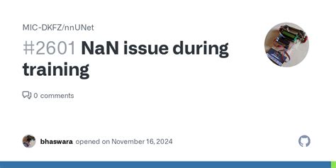 Nan Issue During Training · Issue 2601 · Mic Dkfznnunet · Github