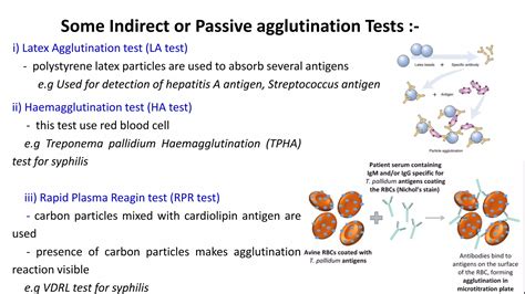 Immunodiagnostic Methods For Bacterial Infection By Prabhat Dhakal