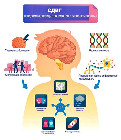 Что такое СДВГ Центр поддержки семьи и детей Ortus