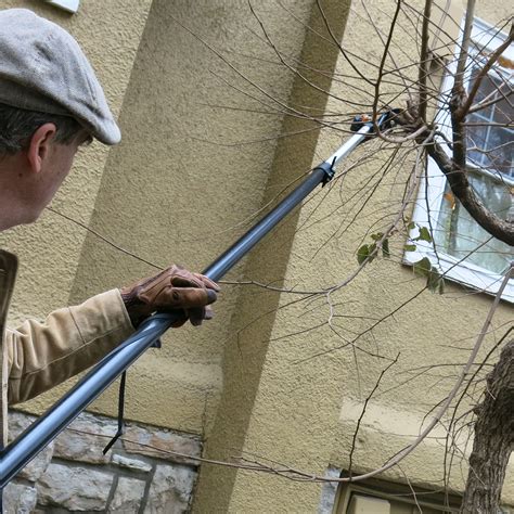 Tree Trimming Safety And Tips