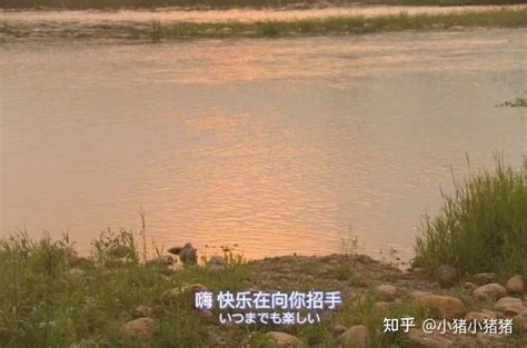 2月总结“我花超支了 知乎
