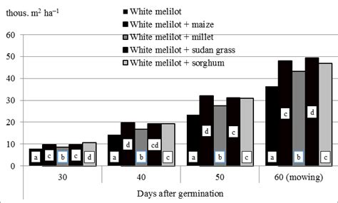 Mean Leaf Surface Area Thous M 2 Ha 1 Melilotus Albus Depending On