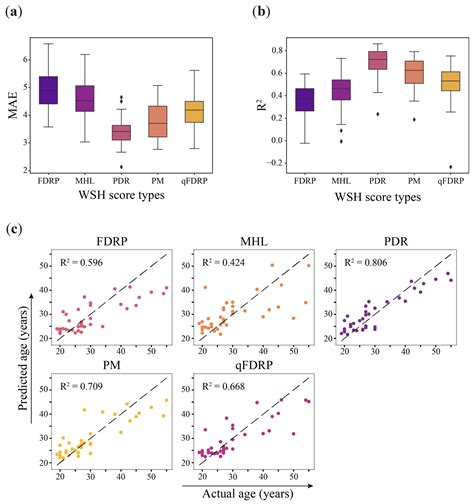 Age Prediction Using Dna Methylation Heterogeneity Metrics