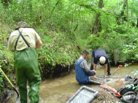 Another Trip To Me Favorite Digging Place Fossil Hunting Trips The Fossil Forum