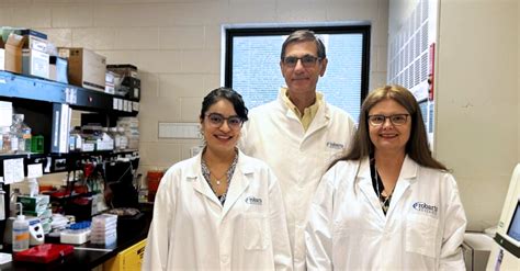 Researchers Reveal Link Between Alzheimers Disease And Sex Hormones