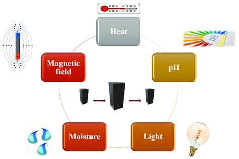 Stimuli Responsive Shape Memory Polymers Download Scientific Diagram