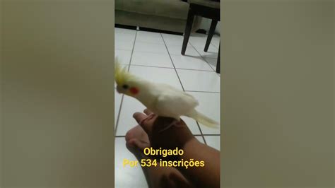 Oi Calopisitas Youtube