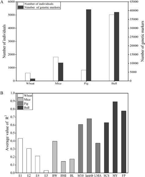 Frontiers Impact Of Different Genomic Relationship Matrix Construction Methods On The Accuracy