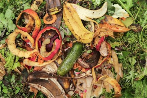 Pre Holiday Food Waste Costs Brits Up To £25
