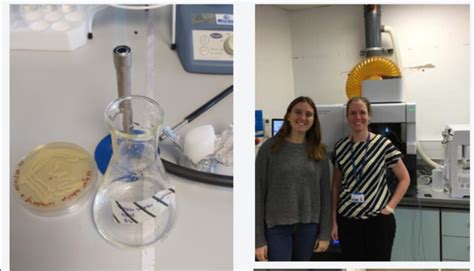 My Pps Experience Researching Lithium Biorecovery