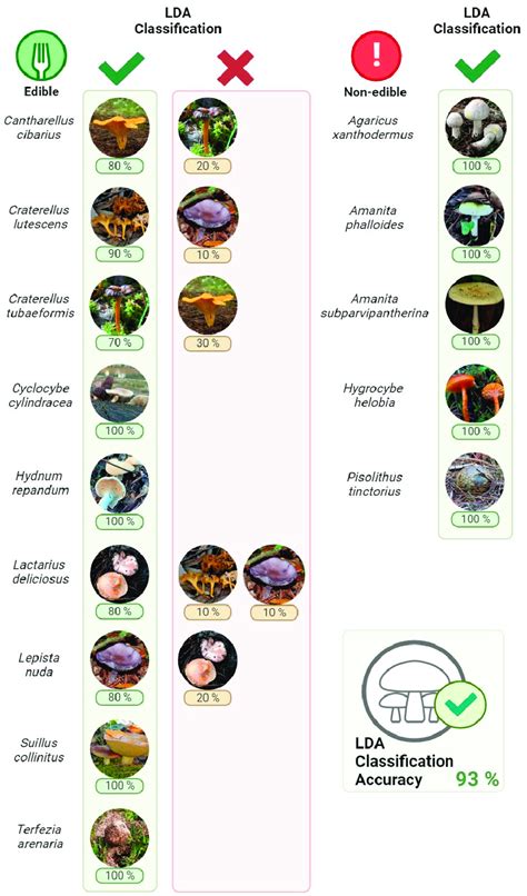 Overall Species Identification Accuracy Of The Lda Classification Model Download Scientific