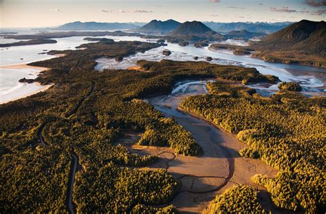 Bamfield Marine Sciences Centre Whats Going On In The Labs At