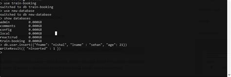 Working With Mongodb Terminal Open Book Tutorials