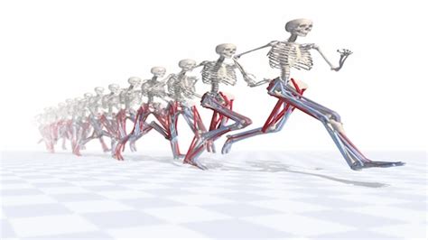 Nokov Optical Motion Capture System