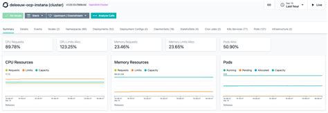 Introducing Ibm Instana Observability Adam De Leeuw
