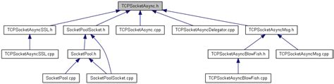 Open Source Winsock Tcpip Library V51 Tcpsocketasynch File Reference