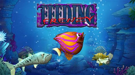 Feeding Frenzy Gameplay Youtube
