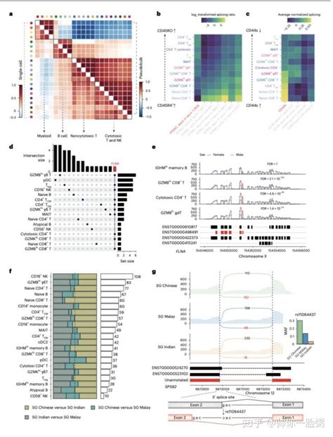 外周血单细胞测序揭示细胞类型特异性的剪接调控 知乎
