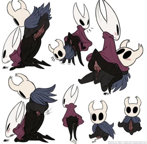 Hollow Knight R34