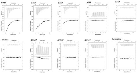Representative ITC Profiles Of The Binding Of Nucleotides To The Free