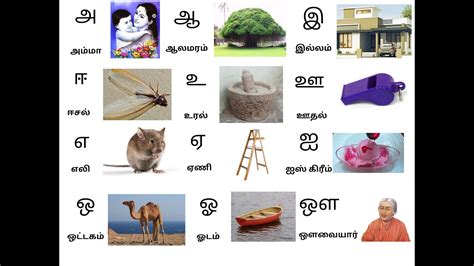 உயிர் எழுத்துகள் Tamil Alphabets Letters Learn Tamil Basic அ ஆ இ ஈ Youtube