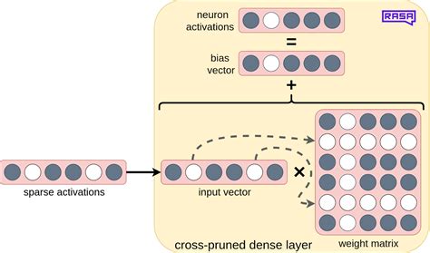 Learn How To Use Pruning To Speed Up Bert The Rasa Blog Rasa
