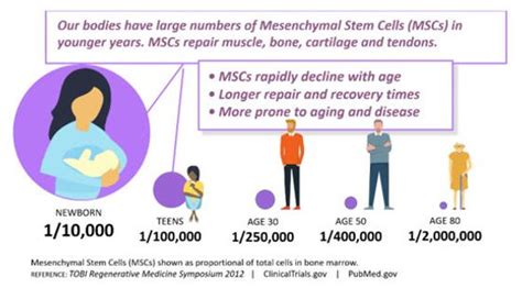 Stem Cell Therapy Revolution Hyperbaric Plus United States