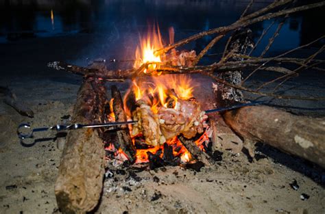 수제 닭고기 시시 등의 구이 요리가 케밥 그릴 On 캠프 파이어 2015년에 대한 스톡 사진 및 기타 이미지 2015년 고기 굽기 Istock