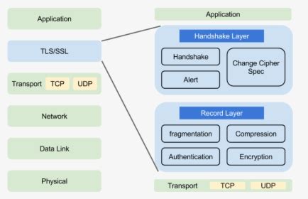 Osi Logo Png Download Open System Interconnection Logo Transparent Png Kindpng