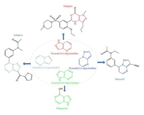 Pyrazolopyrimidine Containing Drugs Download Scientific Diagram