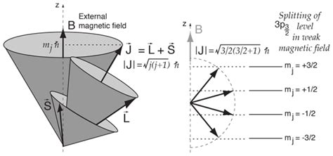 Orbital Vector At Collection Of Orbital Vector Free