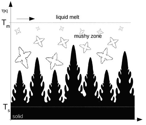Schematic Presentation Of The Mushy Zone With Two Characteristic Download Scientific Diagram