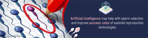 Can Artificial Intelligence Improve Sperm Selection