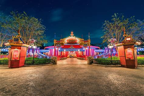 Dumbos Flying Circus — Matthew Cooper Photography