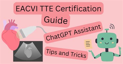 Eacvi Tte Echo Certification Easy Guide Techmed