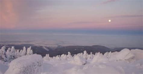 Boock Hotels Find And Compare Great Deals On Trivago