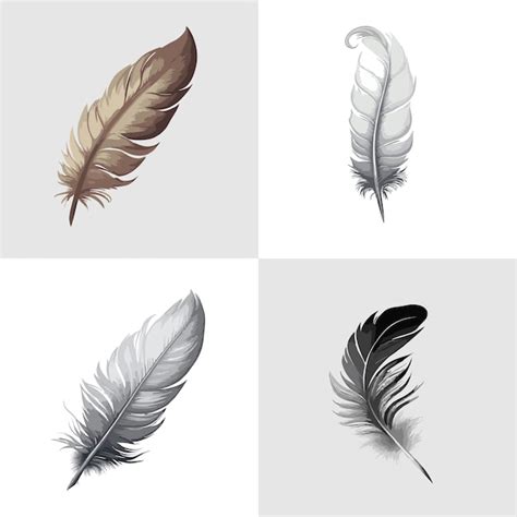 Featheriness Vectors And Illustrations For Free Download