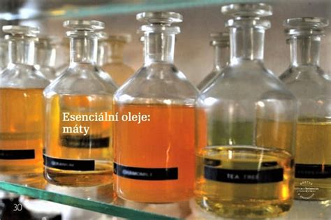 Hortus Botanicus And Apothicus Botanicus Canada