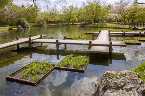 Amazing Wooden Bridge Zigzag And Waterfall In Japanese Garden Of