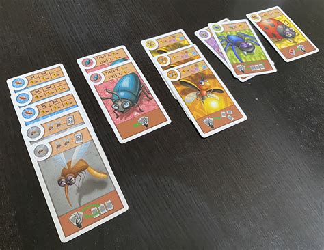capture insects on colorful backdrops in ‘bugs on rugs geekdad