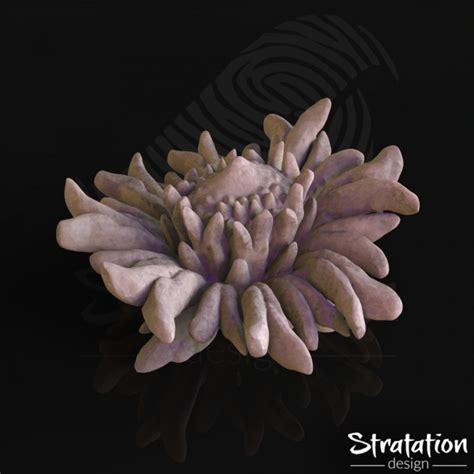 3d Printable Abyssal Water Lily Duo By Stratation Design