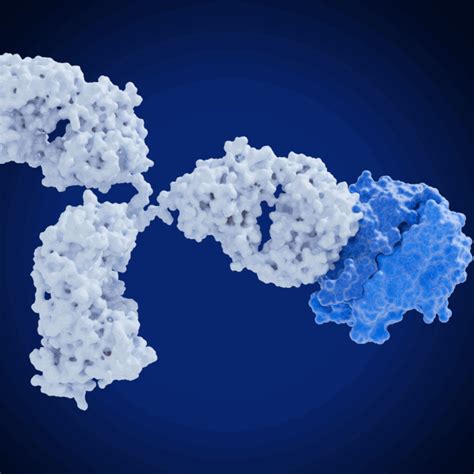 Cryptococcal Antigen Latex Agglutination System Calas® Meridian