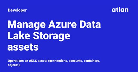 manage azure data lake storage assets developer