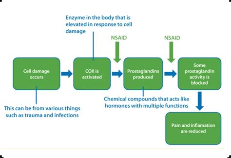 Facts On Non Steroidal Anti Inflammatory Drugs Nsaids